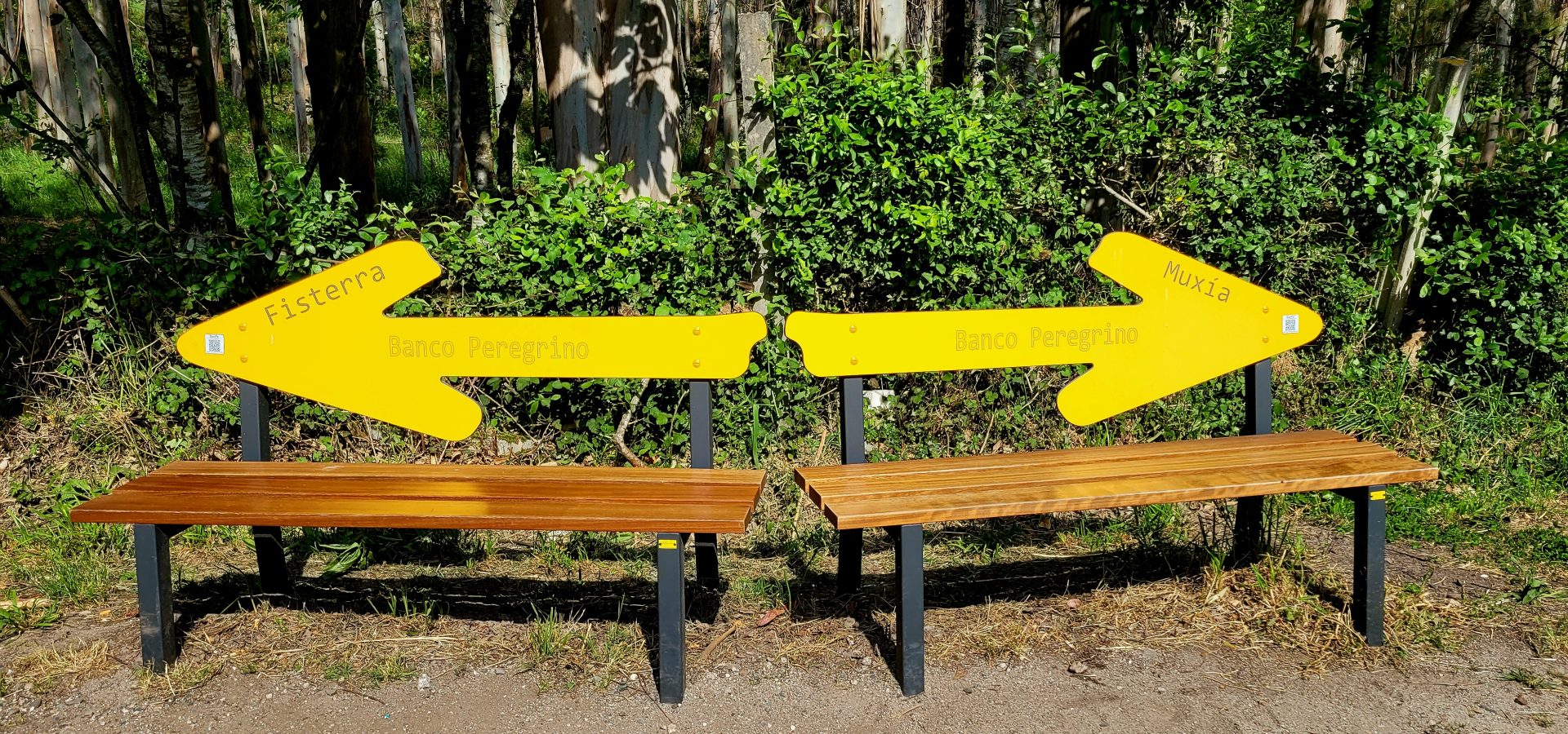 De Gele Pijl Van De Camino De Santiago | WAW Travel